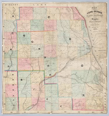 Rees Map of Cook And DuPage Counties by American School