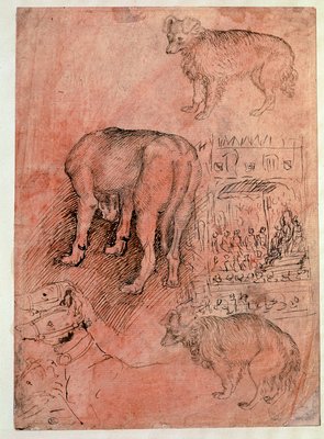 Dog Studies. Aulic Episode. Drawing by Antonio Pisano dit il Pisanello