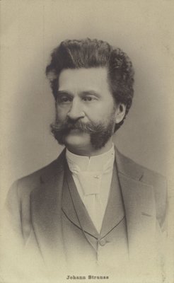 Portrait of Johann Strauss II by Austrian Photographer