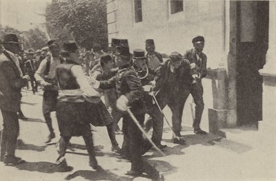 The arrest of Gavrilo Princip after he assassinated Archduke Franz ...