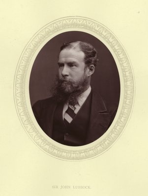 Sir John Lubbock by English Photographer: Fine art print