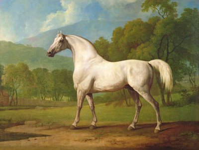 Mambrino by George Stubbs: Highest-quality art reproduction