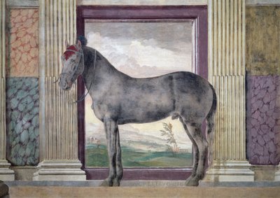 Sala dei Cavalli, detail showing a portrait of Morel Favorito, a horse ...