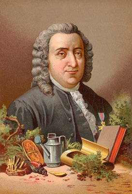 Carl Linnaeus by Jose Armet Portanell: Buy fine art print