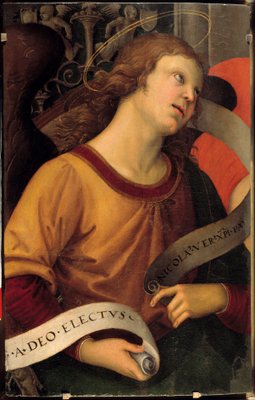 An angel. Fragment of Baronci's altarpiece. Painting by Raffaello ...