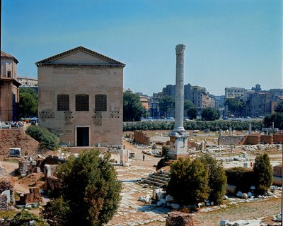 Roman Forum: View of the Curia by Roman: Fine art print