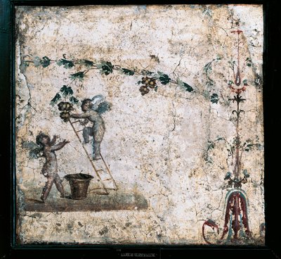 Third style fresco depicting Cupids harvesting, from House of Marcus ...