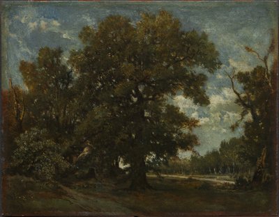 The Oak Tree by Theodore Rousseau: Buy fine art print