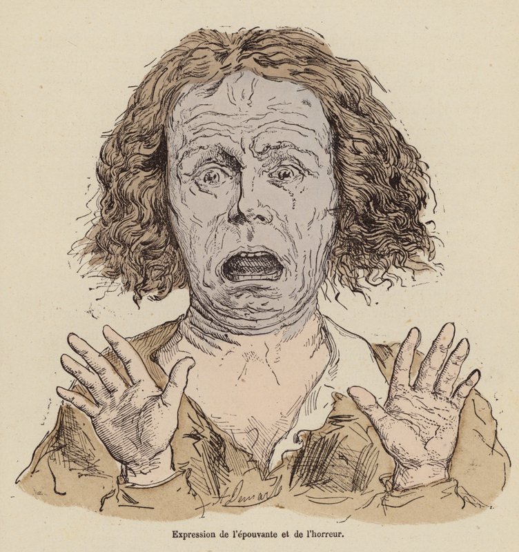 Expression of horror by (after) French School