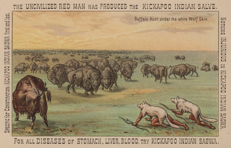 Native Americans Wearing White Wolfskins Hunting Buffalo