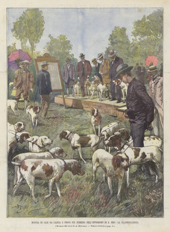 Hunting Dog Show and Field Trials at the S Siro Racetrack, The ...