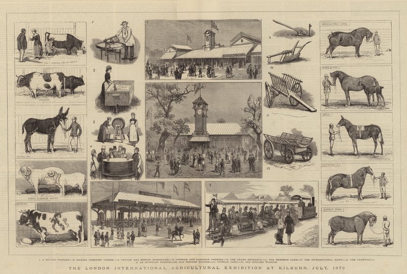 The London International Agricultural Exhibition at Kilburn, July 1879