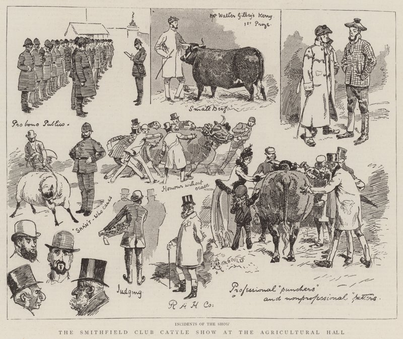 The Smithfield Club Cattle Show at the Agricultural Hall