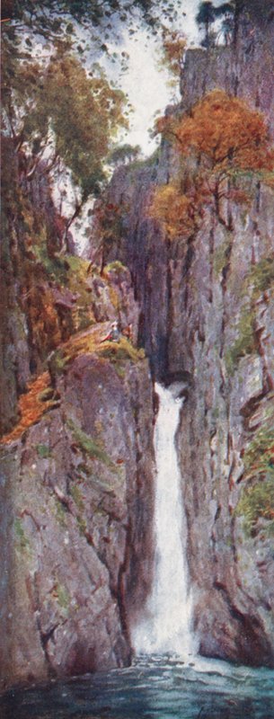 Lake District: Dalegarth Force, Eskdale