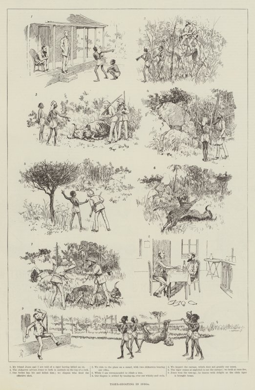 Tiger-Shooting in India by Amedee Forestier