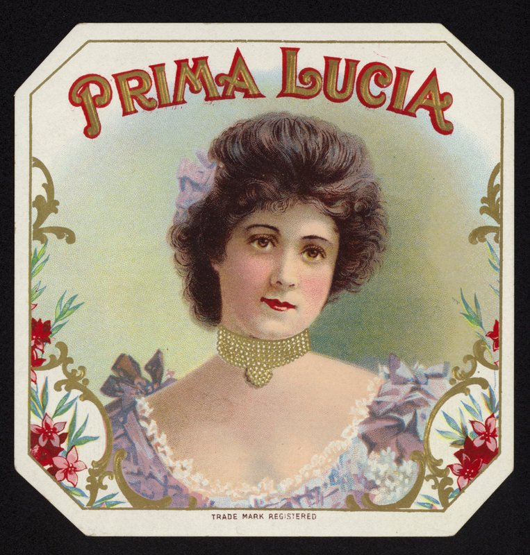 Demure Lady by American School: Buy fine art print