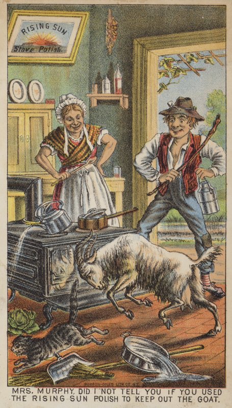 Goat Chasing Cat Around Kitchen by American School