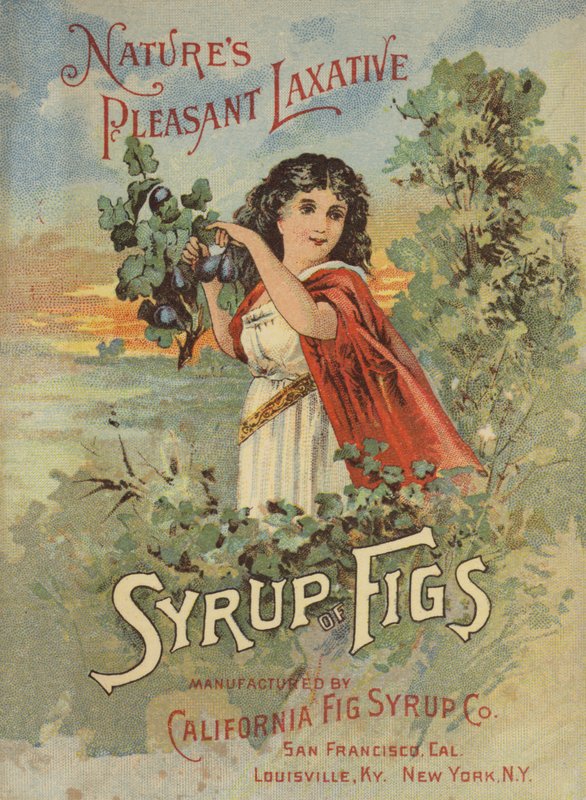 Lady Picking Figs by American School: Buy fine art print