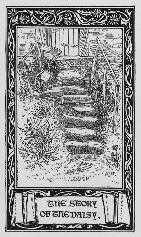 Hans Christian Andersen: The Daisy by Arthur Joseph Gaskin