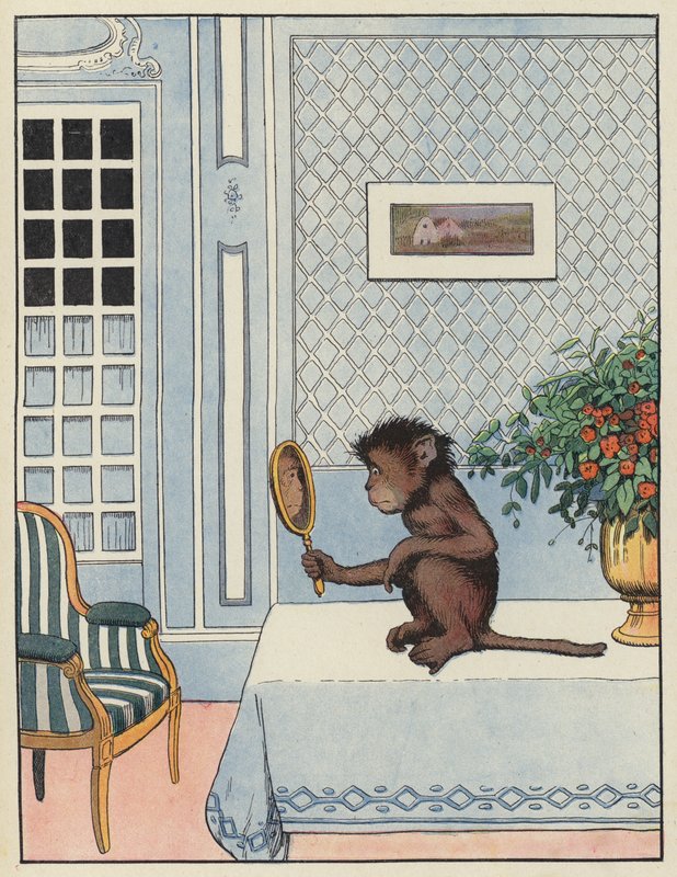 Monkey Looking at Its Reflection in a Mirror