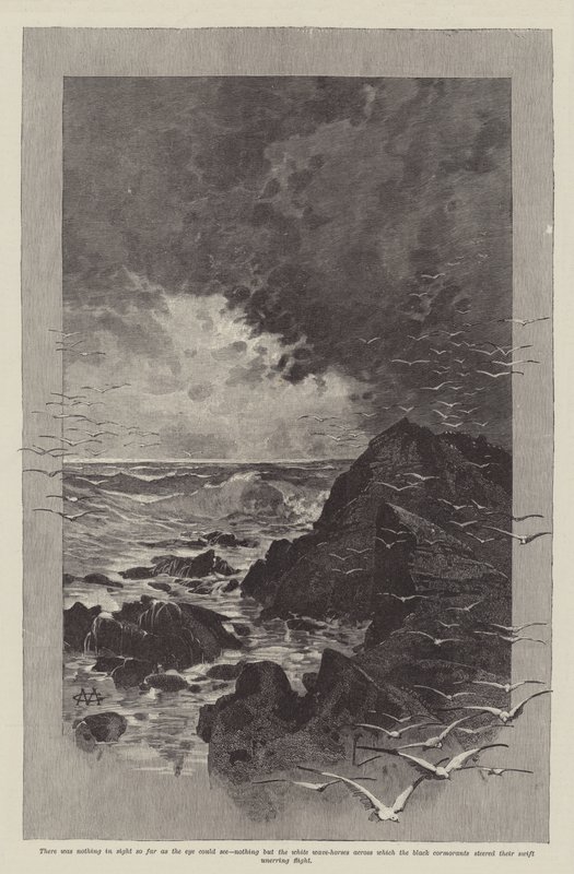 Mr Meeson's Will, by H Rider Haggard by Charles Auguste Loye
