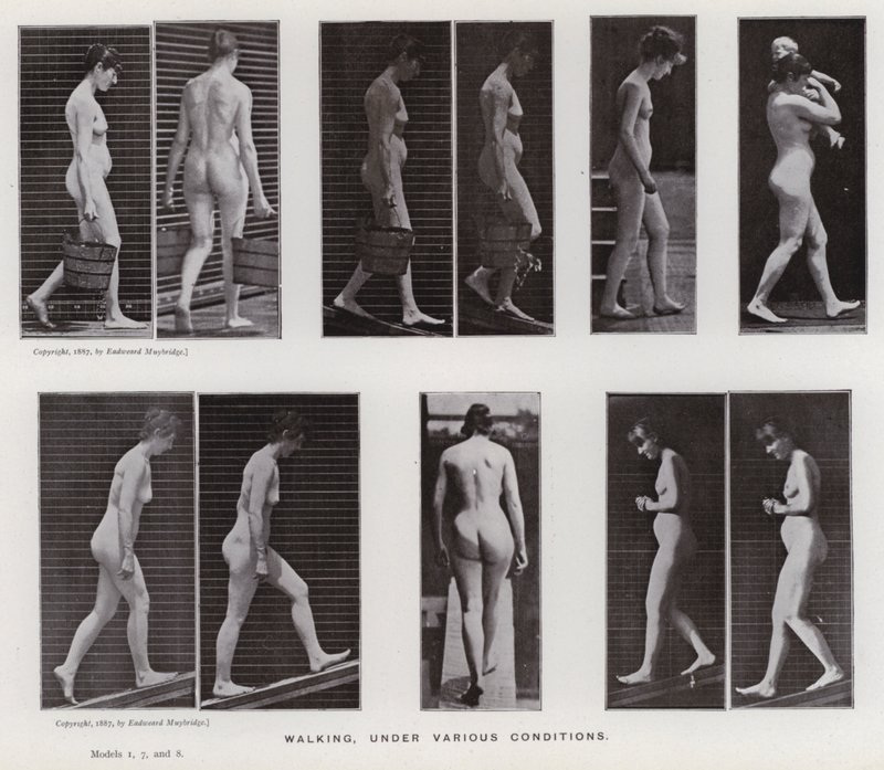 The Human Figure in Motion: Walking under various conditions