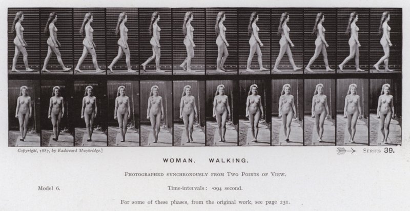 The Human Figure in Motion: Woman, Walking