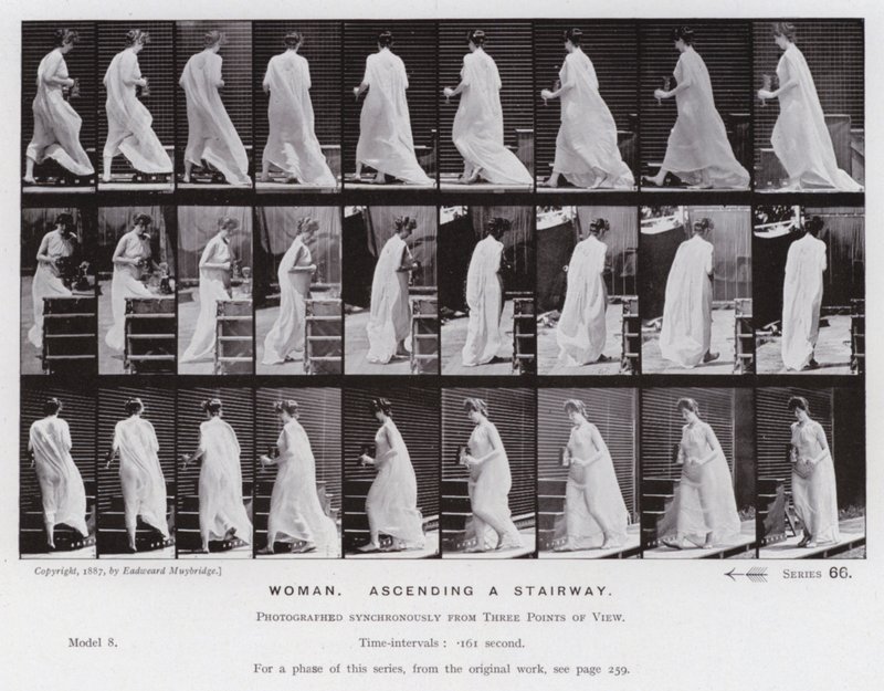 The Human Figure in Motion: Woman, ascending a stairway