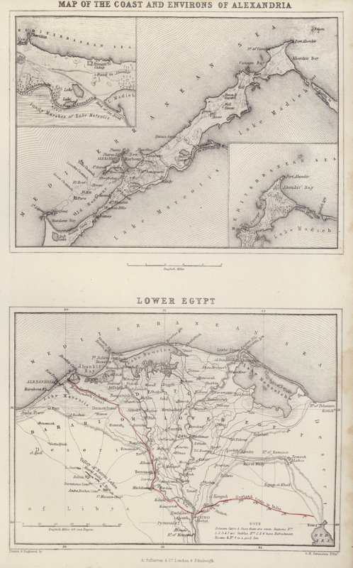 Map of the Coast and Environs of Alexandria; Lower Egypt