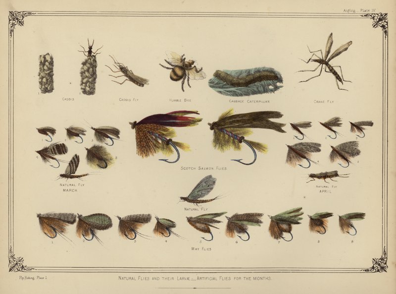 Natural Flies and Their Larvae, Artificial Flies for the Months