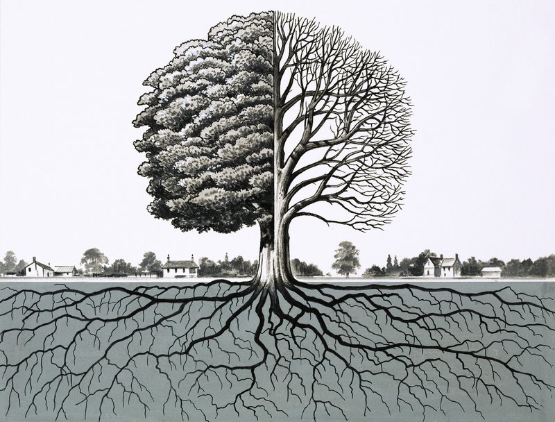 A Tree Without Roots Is Just A Piece Of Wood