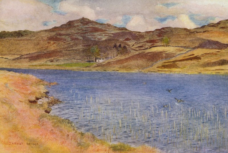 Loch Howie or Wee by Ernest Edward Briggs: Fine art print