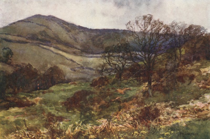 Shanklin Down, Early Spring by Ernest William Haslehust
