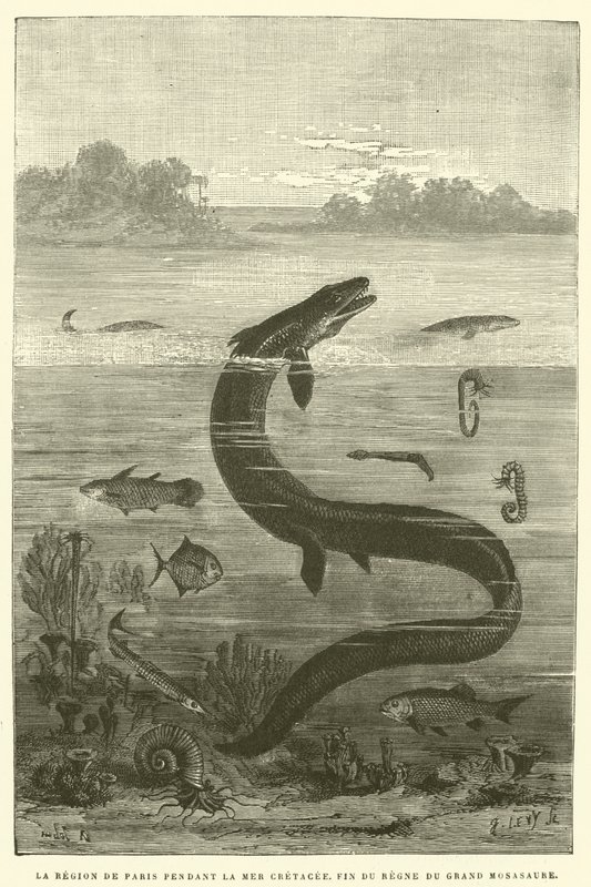 The Region of Paris During the Cretaceous Sea, End of the Reign of the ...