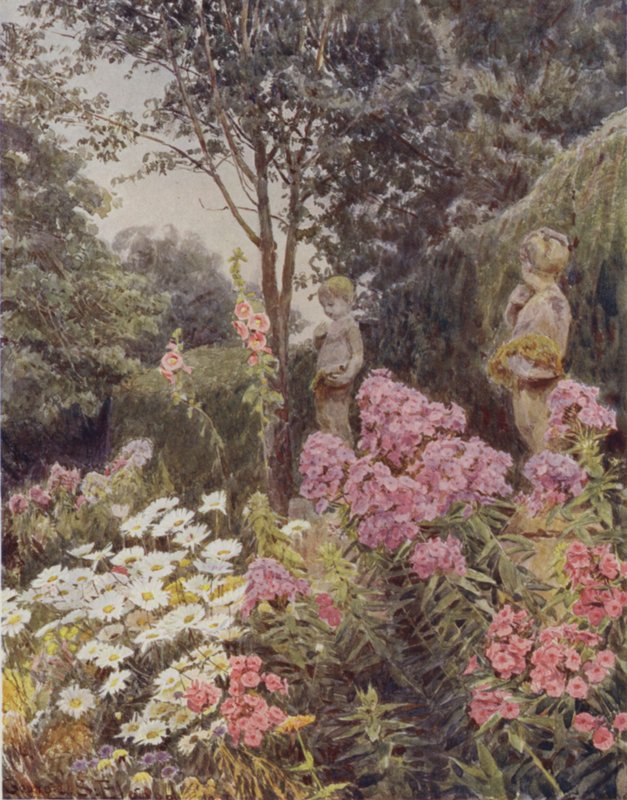 Phlox and Daisy by George Samuel Elgood: Fine art print