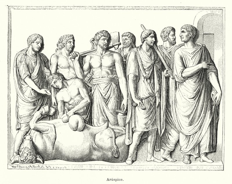 Haruspex, ancient Roman priest who examined the entrails of sacrificed ...