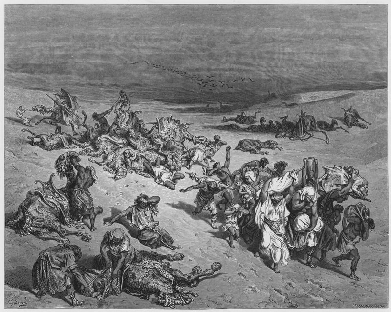 The Murrain of Beasts by Gustave Dore: Buy fine art print