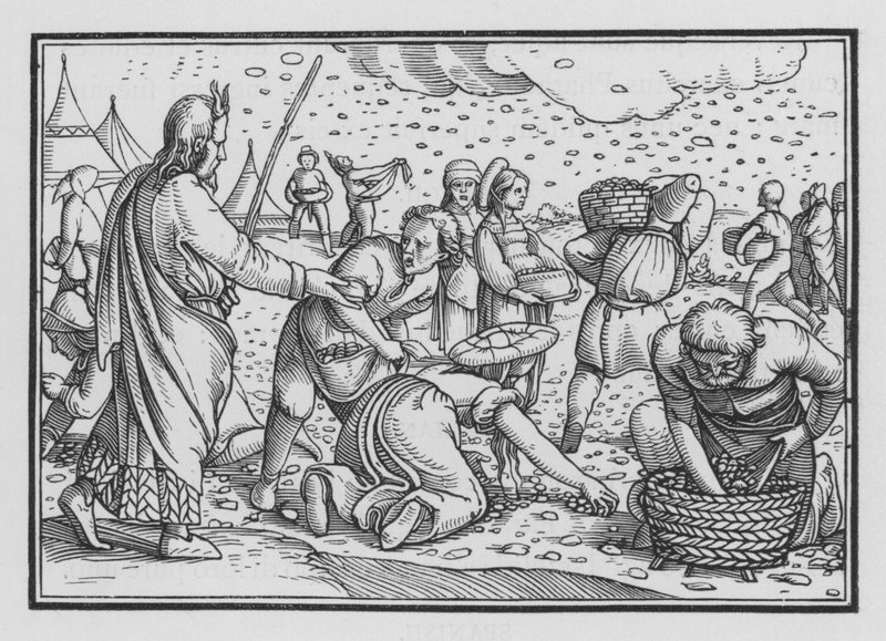 The Israelites Murmur for Want of Bread