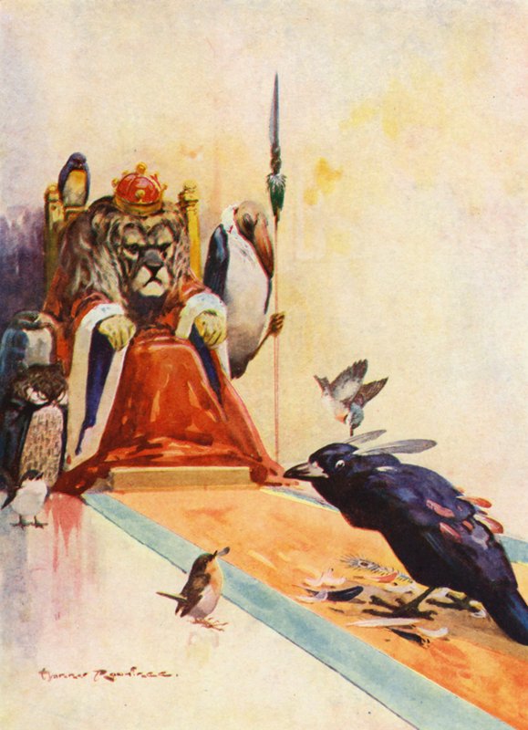 The Vain Jackdaw by Harry Rountree: Buy fine art print