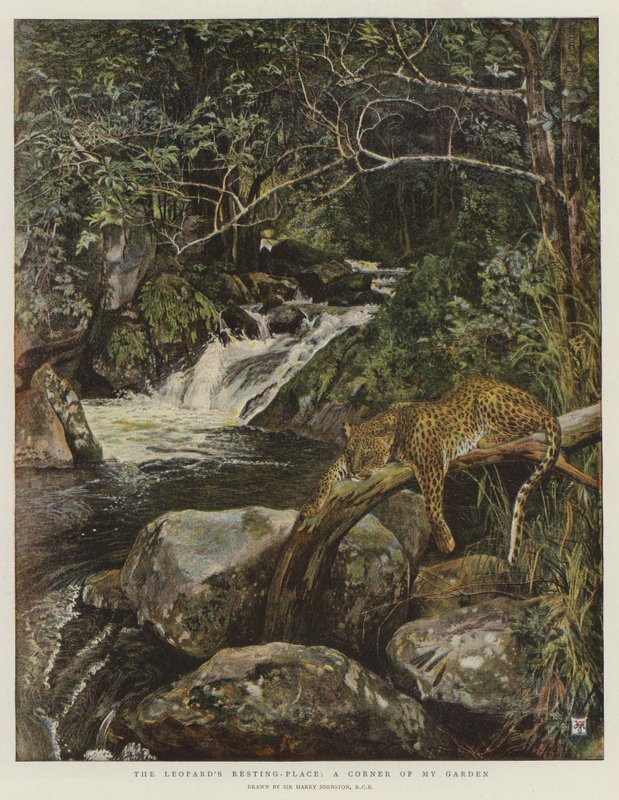 The Leopard's Resting-Place, a Corner of My Garden