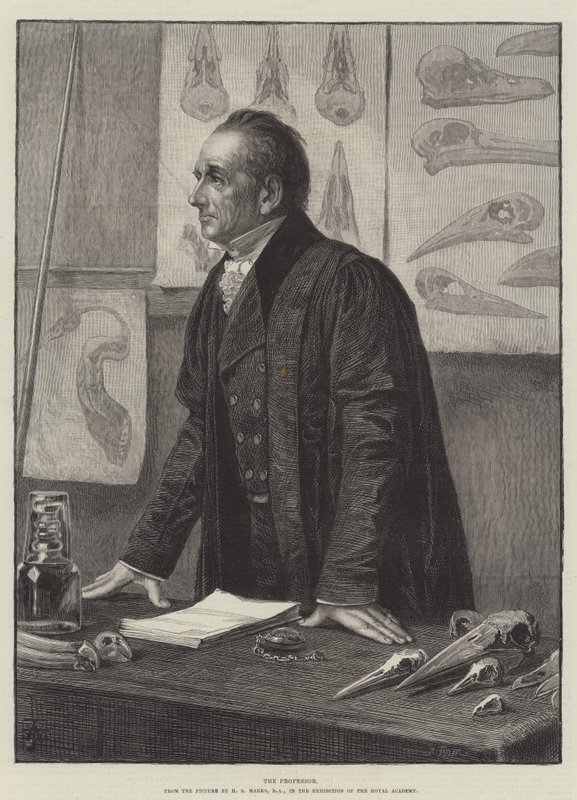 The Professor by Henry Stacey Marks: Buy fine art print