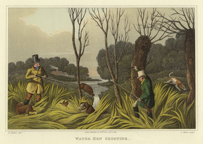 Water Hen Shooting by Henry Thomas Alken: Fine art print