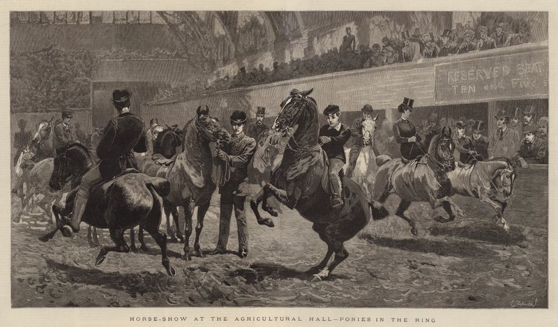 Horse-Show at the Agricultural Hall, Ponies in the Ring