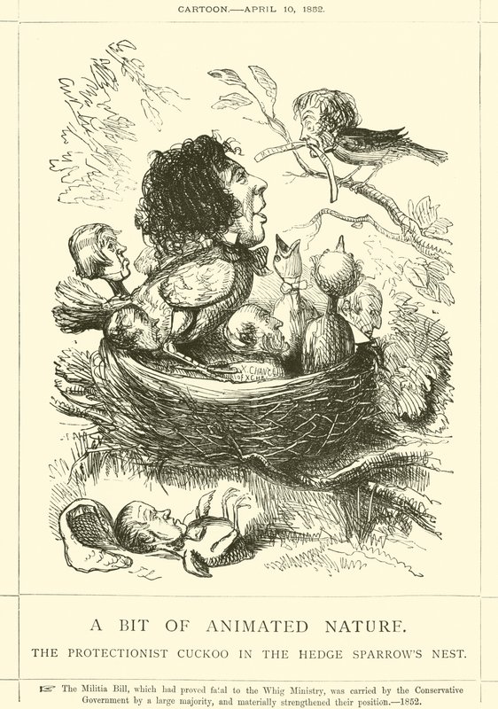 A Bit of Animated Nature, The Protectionist Cuckoo in the Hedge Sparrow ...