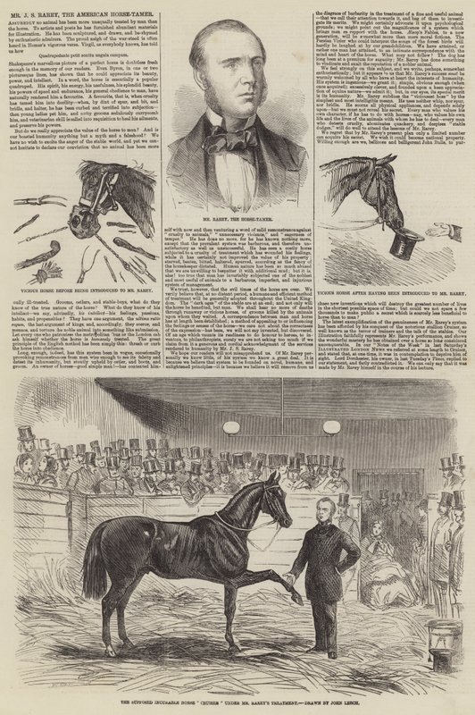 Mr J S Rarey, the American Horse-Tamer by John Leech