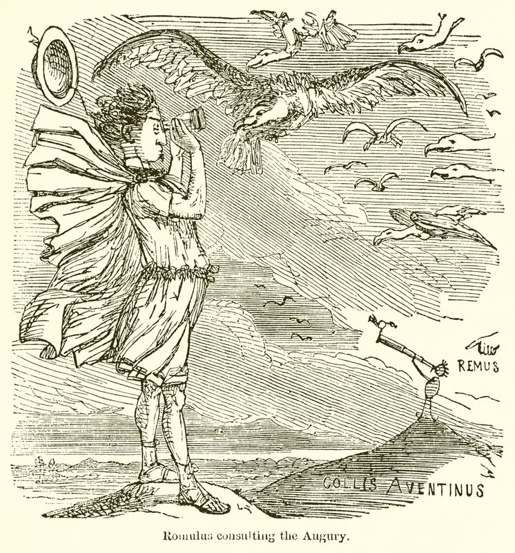 Romulus Consulting the Augury by John Leech