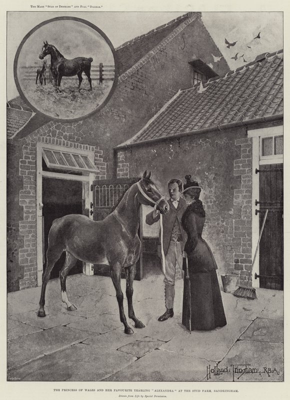 The Princess of Wales and her Favourite Yearling Alexandra at the Stud ...