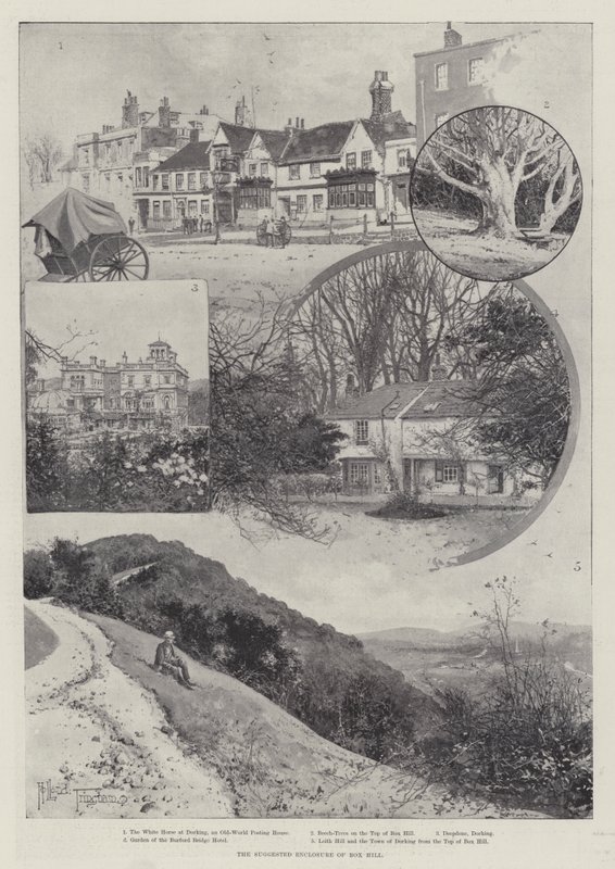 The Suggested Enclosure of Box Hill