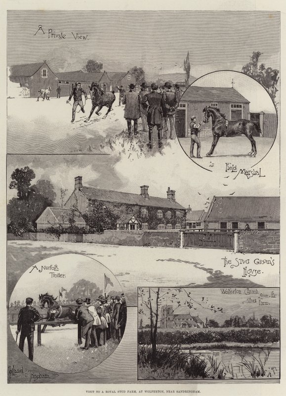 Visit to a Royal Stud Farm, at Wolferton, near Sandringham