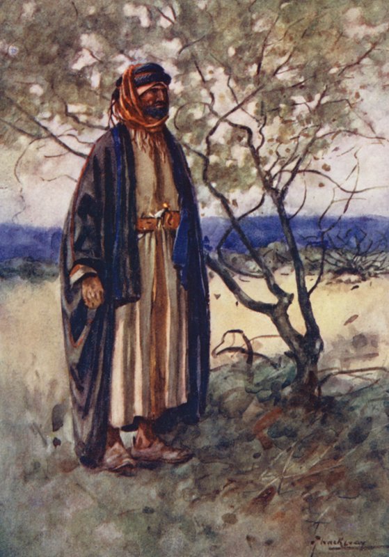 People of Egypt: Bedouin Arab, Bedawi by Lance Thackeray